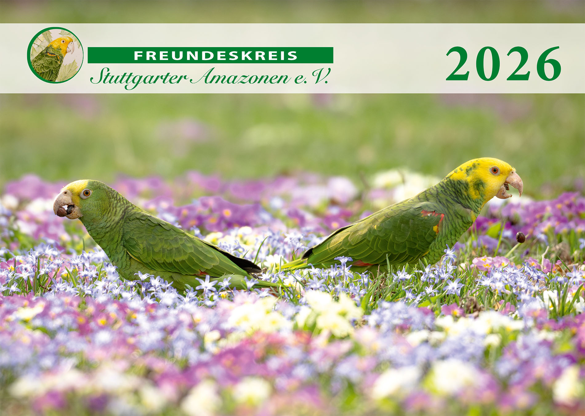 Imagedetailsprechende Papageien 2022 09 01797283